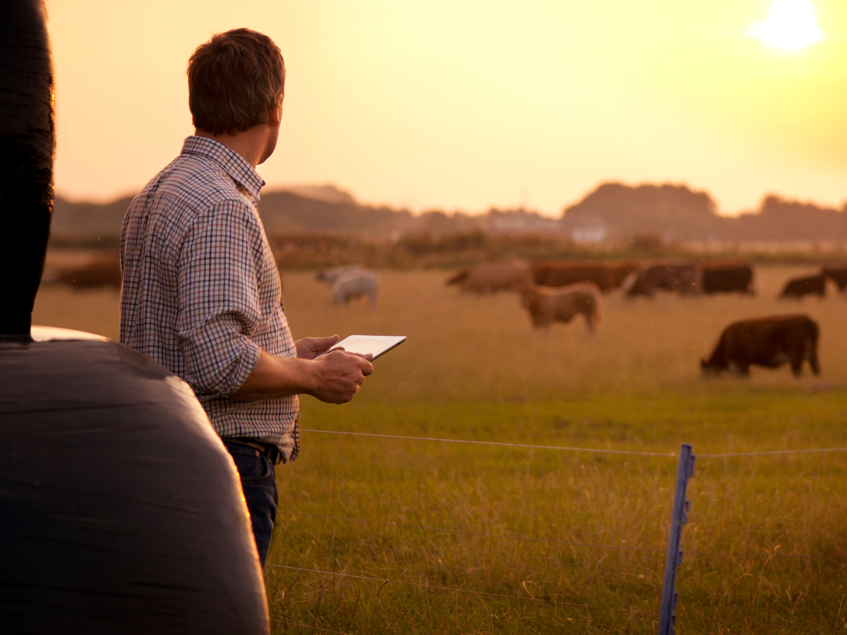 The Mutual Insurance System: Unveiling its Highlights and Benefits ...